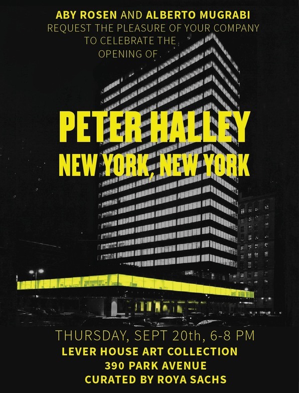 PETER HALLEY NEW YORK, NEW YORK - Installation Lever House Art ...